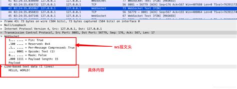 01 Websocket简介及抓包分析websocket报文 Csdn博客