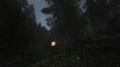 Switched To Community Shaders Just A Custom Reshade Preset Without Enb