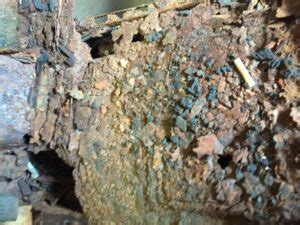 Rust Converter Vs Rust Encapsulator Frost Auto Restoration Techniques