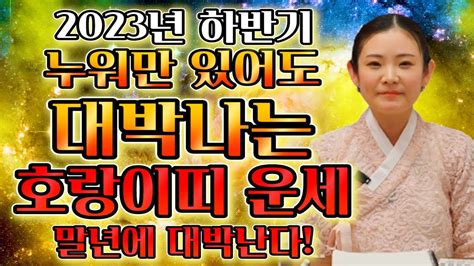 2023년 하반기에 대박나는 호랑이띠운세 하반기 금전재물 대박난다 하반기 범띠에게 생기는 큰 변화들 62년생 74년생 86년생 98년생 62세 50세 38세