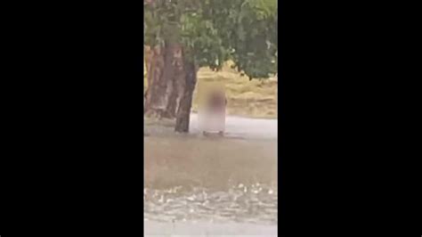 Naked Bather Gives Cyclone Townsfolk The Full Alfie Daily Telegraph