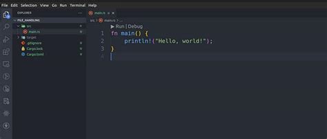 Aniket Suryawanshi On Linkedin File Handling In Rust