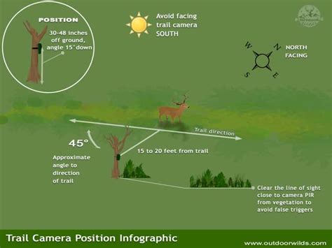 Trail Camera Detection Range Guide To How It Works