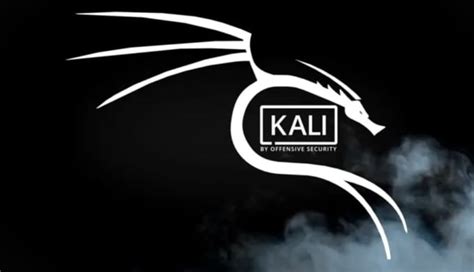 do your kali linux and pentesting projects professionally by mr