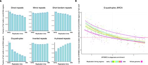 Independence Of The Observed Effects On The Replication Timing Domains Download Scientific