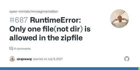 runtimeerror only one file not dir is allowed in the zipfile · issue