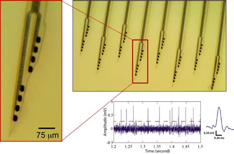 Advanced Neural Probes Yoon Lab