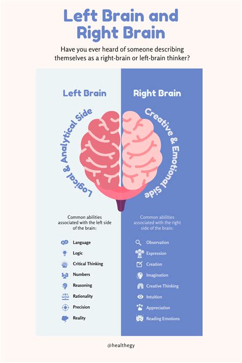 Left Brain And Right Brain Right Brain Left Brain Right Brain