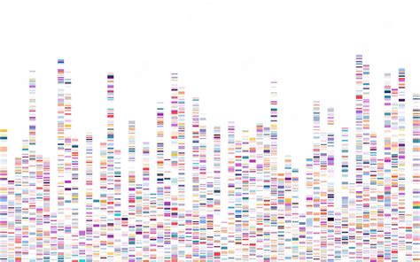 Premium Vector Dna Test Infographic Genome Sequence Map