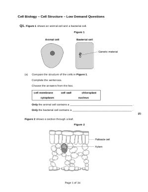 34 Questions With Answers In CELLULAR STRUCTURESScience Topic Doc Template PdfFiller