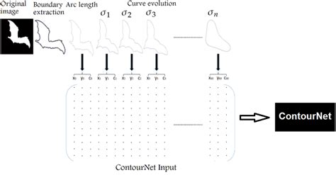 4 descriptor classification using contournet download scientific diagram