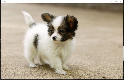 Hi技术分享 Opencv学习笔记