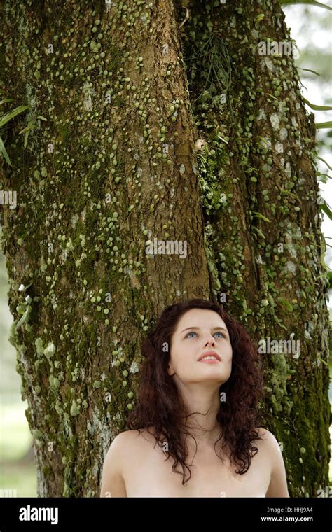 Woman Leaning Against Tree Looking Up Stock Photo Alamy