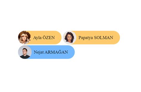 Css Chip Ve Badge Yapımı Tasarım Kodlama