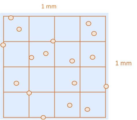Counting Cells Foundations Of Biomedical Science Quantitative Literacy Theory And Problems