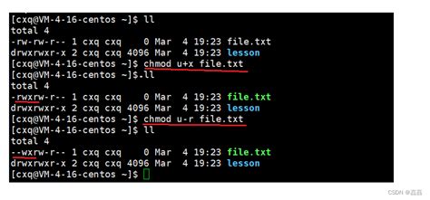 Linux权限 Csdn博客