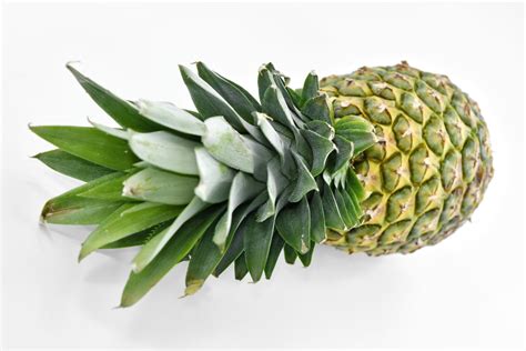 무료 사진 식이 채식주 파인애플 공장 잎 열 대 이국적인 음식 영양 비타민