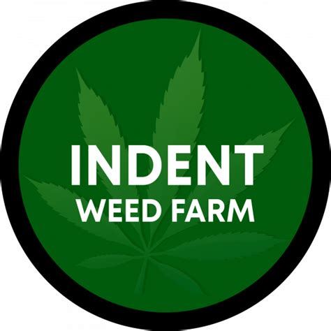 Github Indentstudios Assets