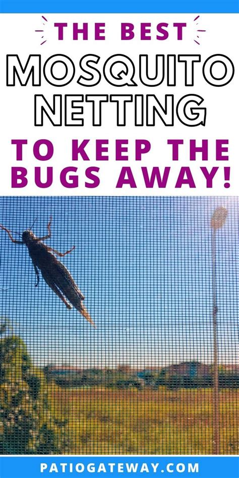 Mosquito Netting Patio Artofit