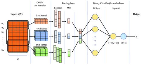 The Cnn Architecture For One Specific Candidate Class Prediciton