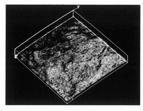 Figure 1 From Scanning Microscopy Scanning Microscopy Confocal Microscopy And Three Dimensional