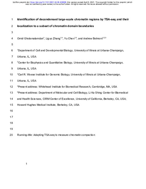 Pdf Identification Of Decondensed Large Scale Chromatin Regions By