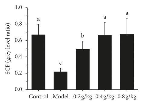 Nskp Ameliorated The Function Of Icc A Scf C Kit Protein Expression Download Scientific