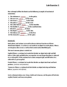 A P I Lab Exercise Body Positions And Organization Teacher Version