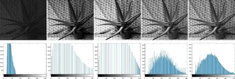 Results Of Each Preprocessing Steps The Top Row Shows The Left Images