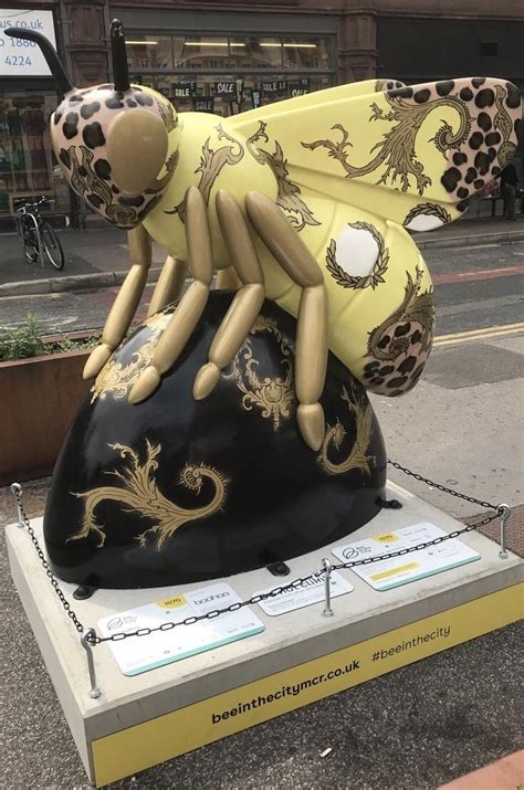 Hayley Wright On Linkedin 🐝💛