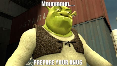 Shrek Memes Wallpapers Top Free Shrek Memes Backgrounds Wallpaperaccess