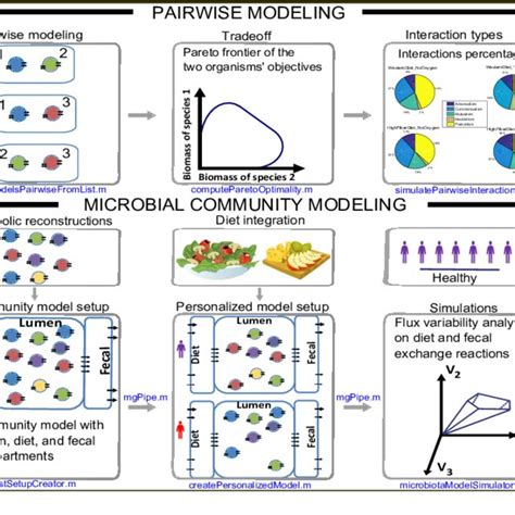 Overview Of The Functionality Of The Microbiome Modeling Toolbox A