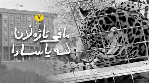 مافی ئاژەڵان لە یاسادا Youtube