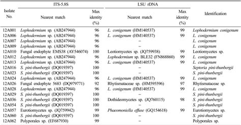 Molecular Identification Of Endophytic Fungi Isolated From Needles Of Download Scientific