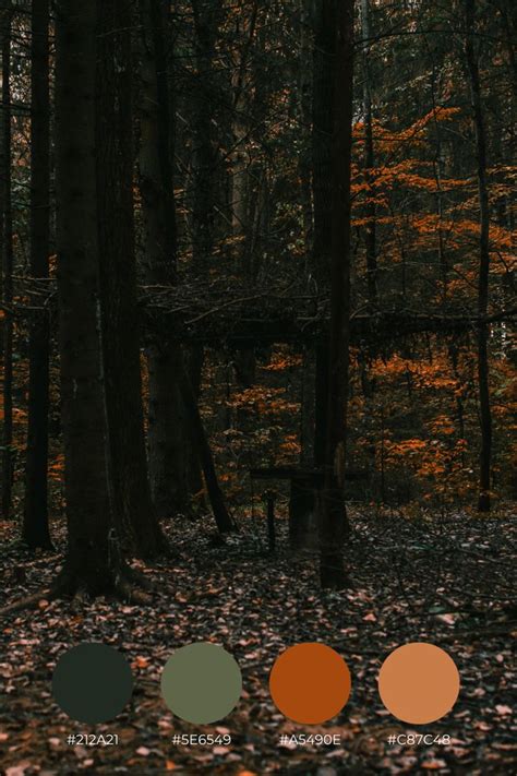 Color Palette Of Autumn Artofit