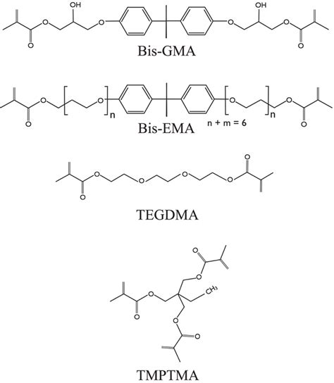 Monomers Used In This Current Study Download Scientific Diagram