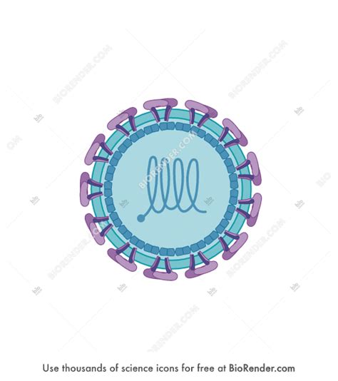 Free Bovine Viral Diarrhea Bvd Icons Symbols And Images Biorender