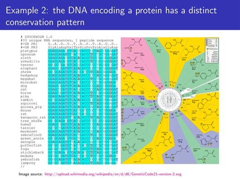 Ppgardner Lecture04 Annotation Comparativegenomics Pdf