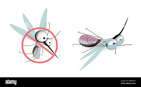 Net Winged Insects Stock Vector Images Alamy