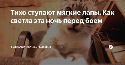 Тихо ступают мягкие лапы. Как светла эта ночь перед боем | Кошка ...