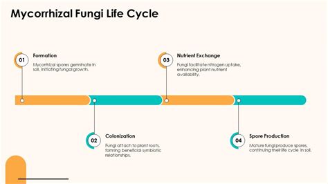 Top 10 Nitrogen Cycle Powerpoint Presentation Templates In 2026