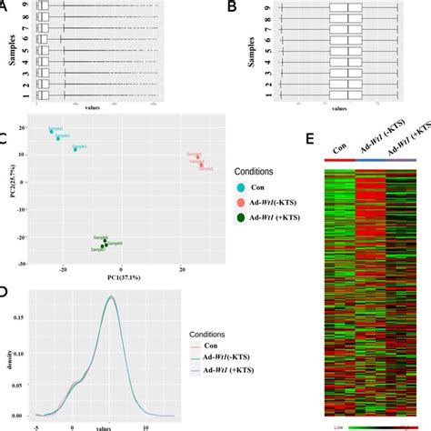 Networkanalyst Analysis Of Hosepic Sequencing Data Transcriptome Of