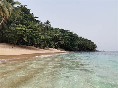 Banana Beach Principe 2020 Qué Saber Antes De Ir Lo Más Comentado