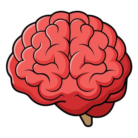 Premium Vector Vector Brain Icon
