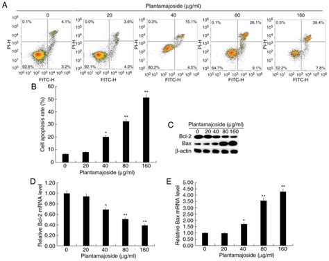 Plantamajoside Exerts Antifibrosis Effects In The Liver By Inhibiting Hepatic Stellate Cell
