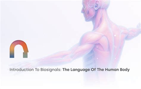 What Are The Real Life Applications Of Eeg Technology