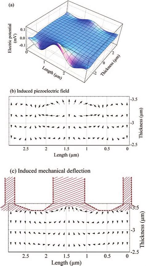 A Induced Piezoelectric Potential Distribution In The Primary Download Scientific Diagram