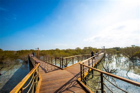 In Pictures Jubail Mangrove Park Abu Dhabis Latest Ecotourism