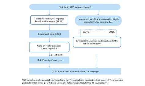 Flow Chart Of The Study Design And Statistical Analysis Download Flow Chart Of The Study Design And Statistical Analysis Download