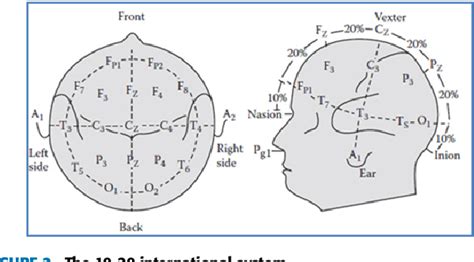 Figure 1 From Electroencephalogram Signal Eye Blink Rejection Improvement Based On The Hybrid